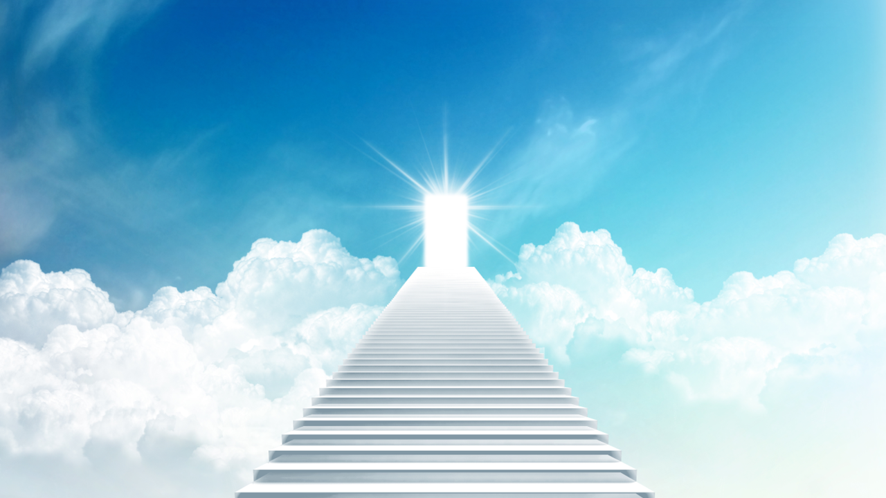 なぜSEOで順位が上がらない？初心者でもできる13の改善策【2025年版】｜WINQ（ウィンク）